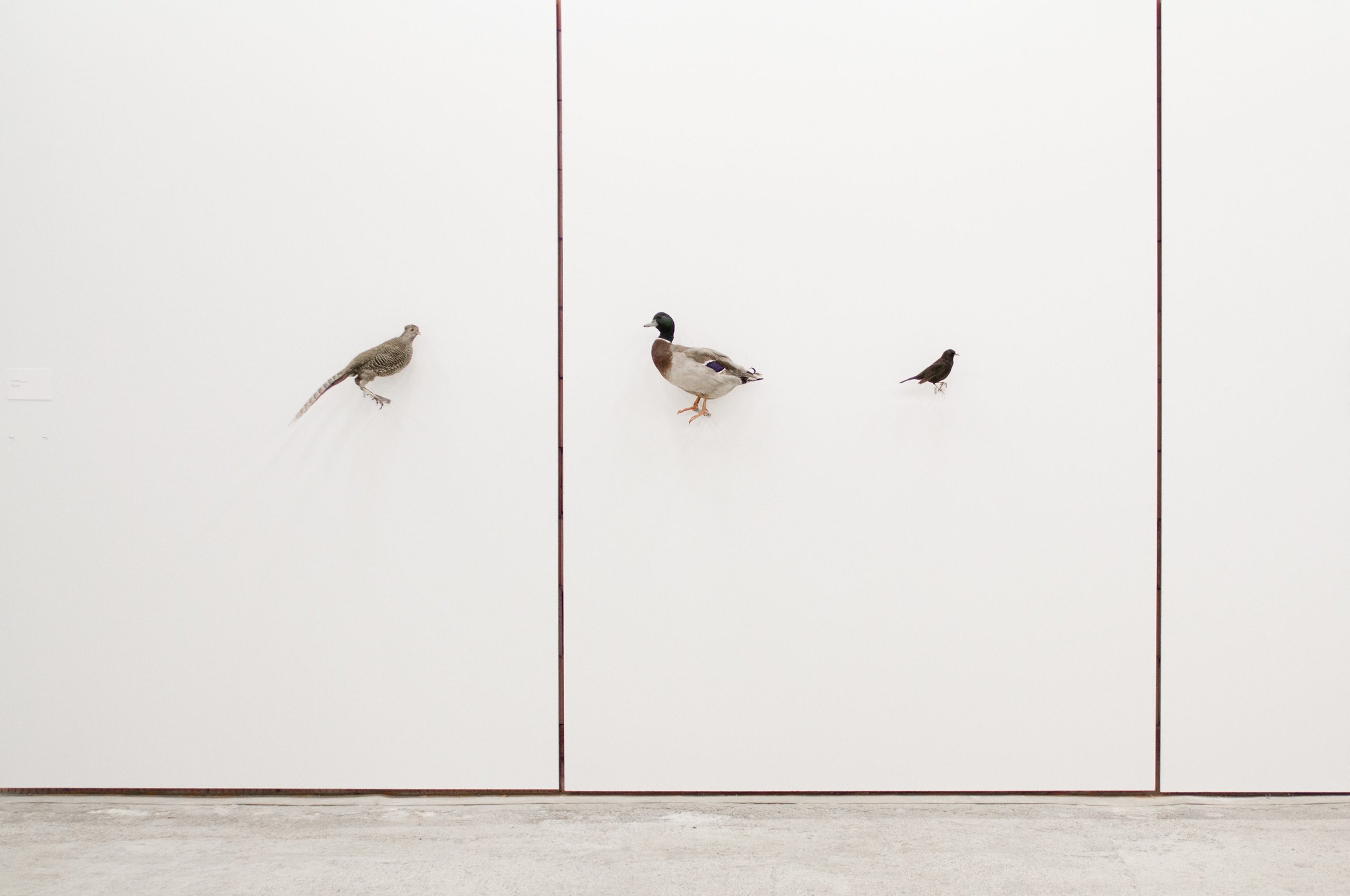 Jan Bernstein – The Imponderable Weight of the Dead